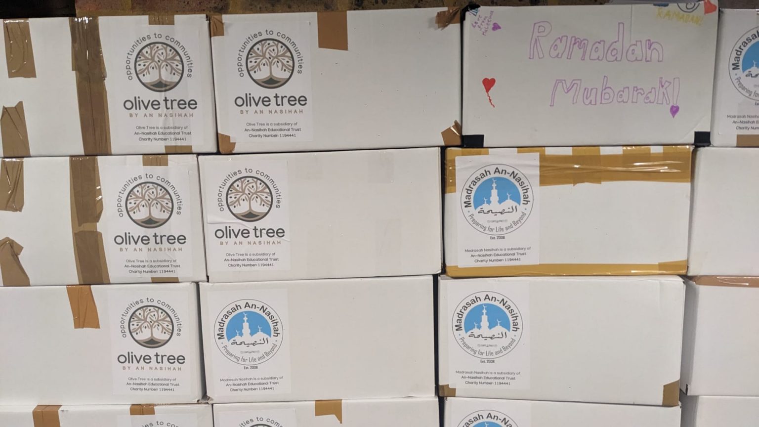 Syria – Olive Tree